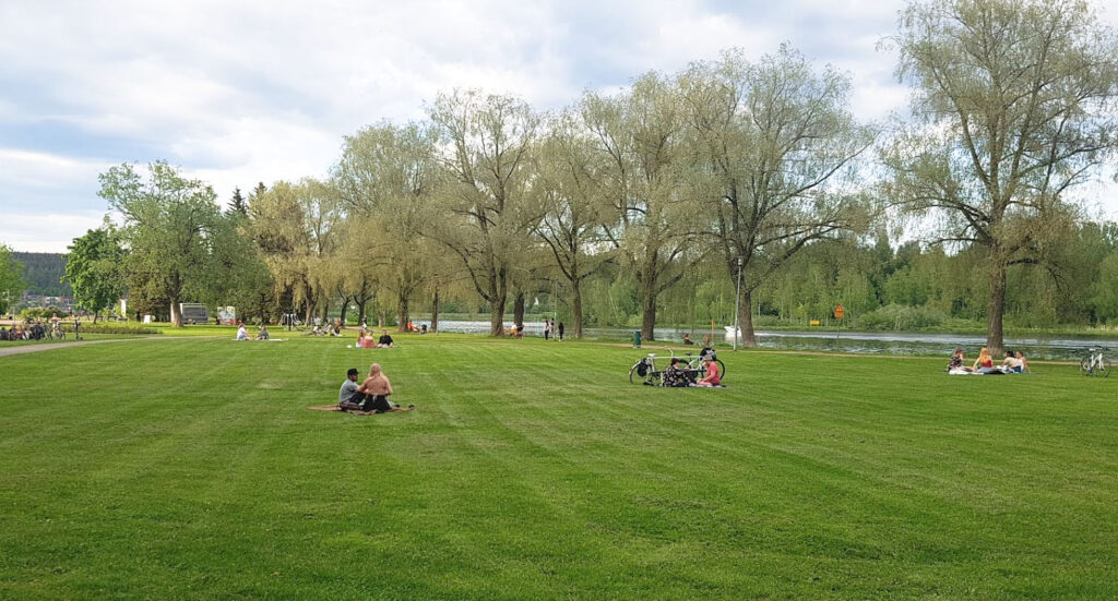 Finnish customs - MyIntegration